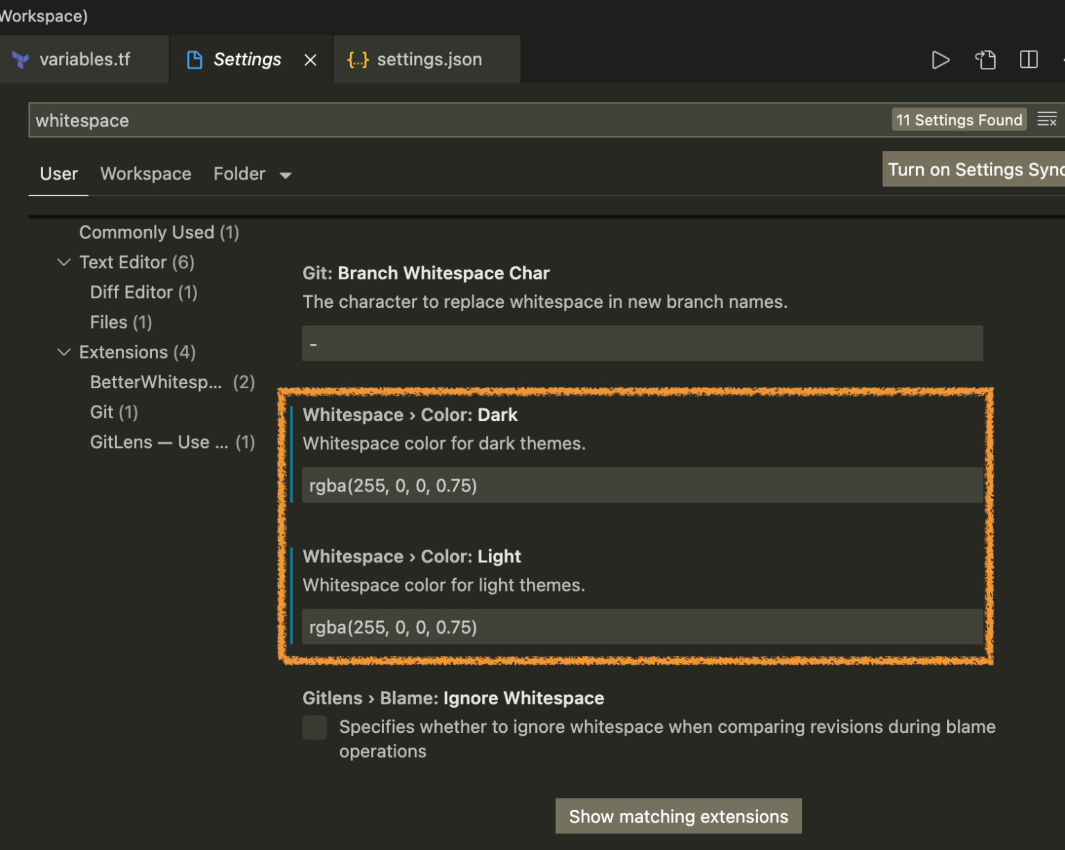 Whitespace in VS Code - The Network Transit